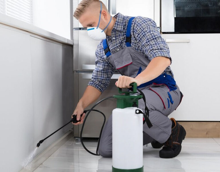 Preventive Pest Control Measures For Villas in Dubai